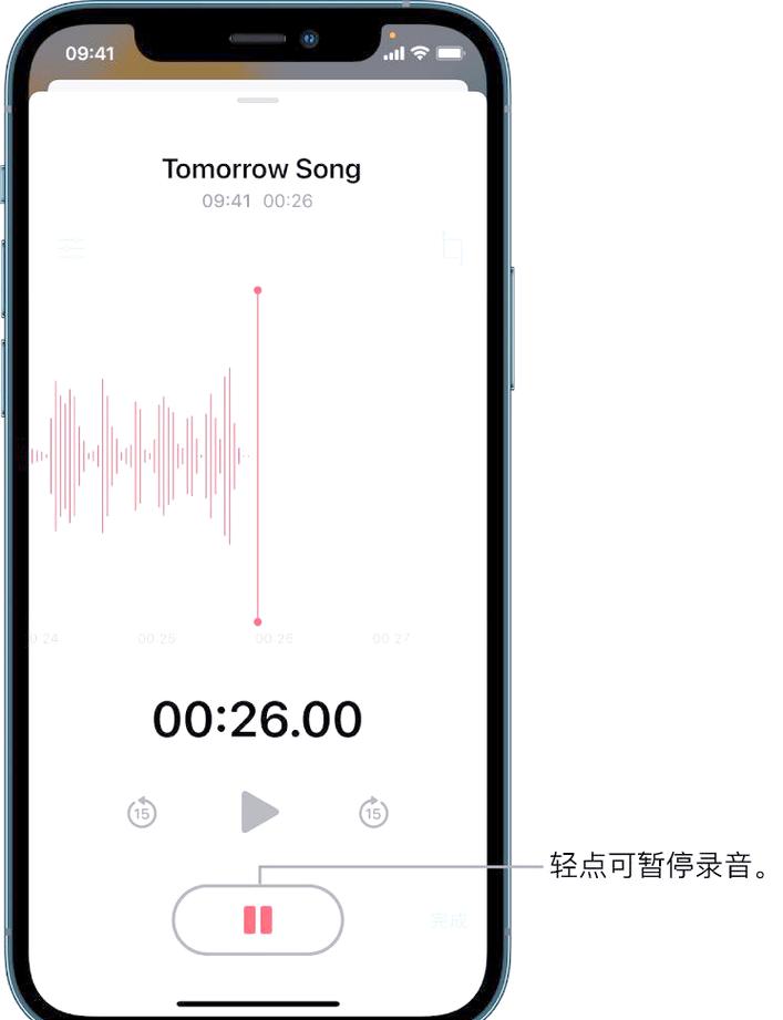 屏幕录制怎么把声音录进去图标