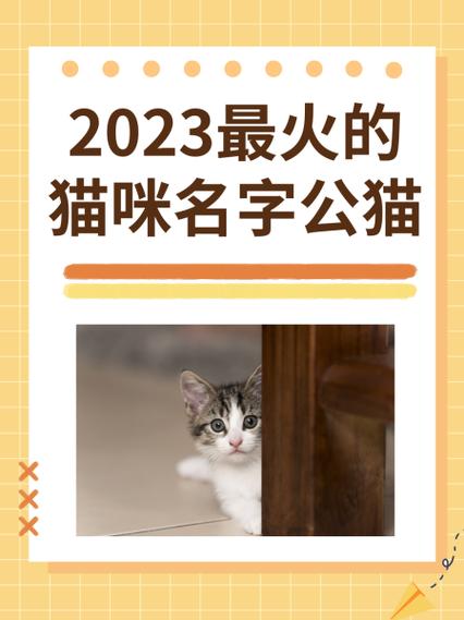 猫霸截图