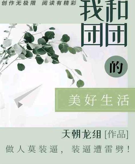 团团的小说截图