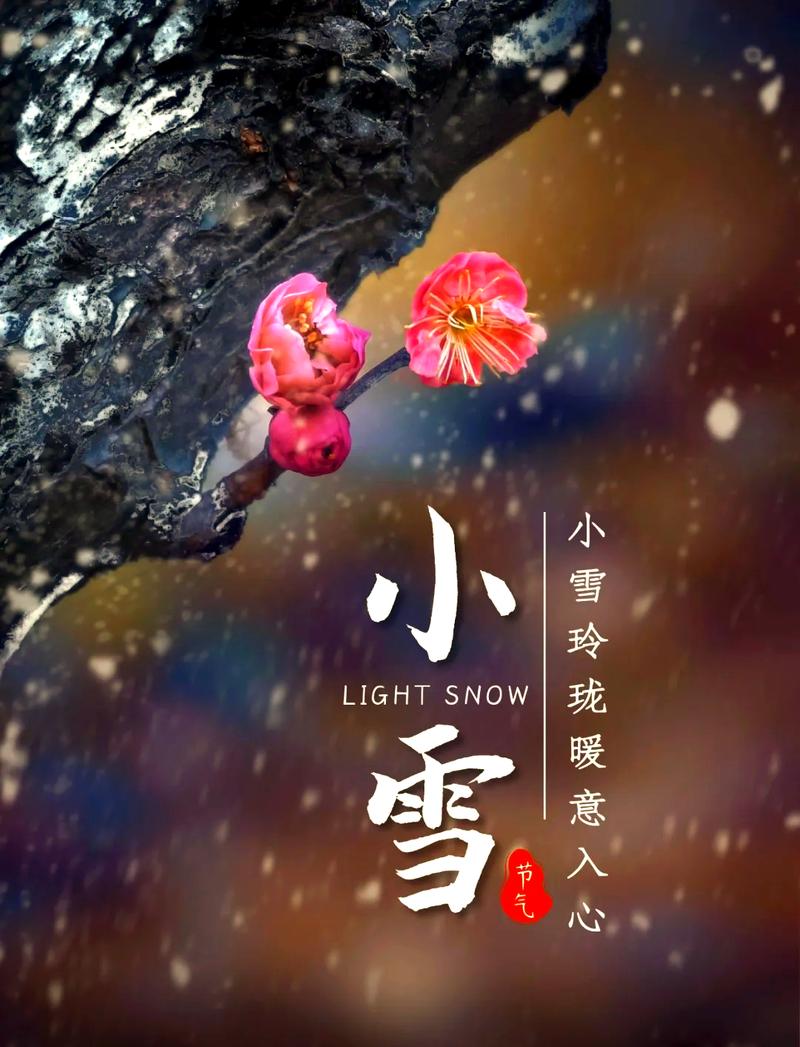 御龙在天小雪图标