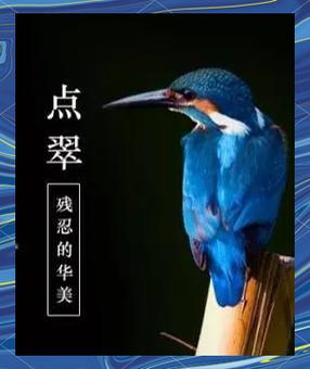 翠鸟这篇文章