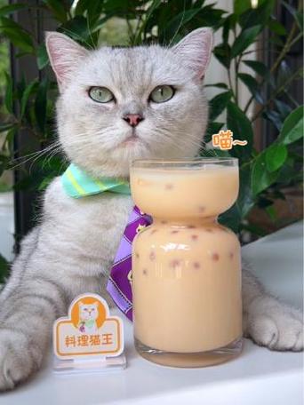 料理猫王做珍珠奶茶