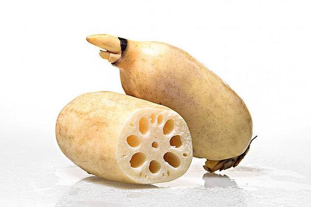 莲藕图标