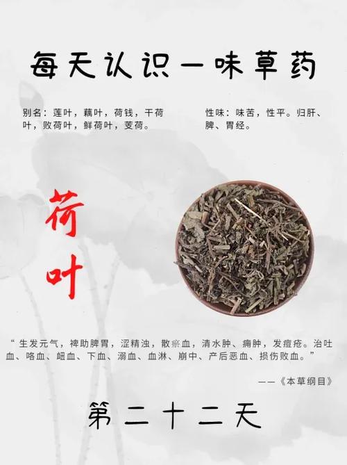 荷叶药用价值和功效