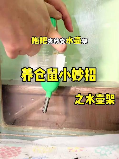 养仓鼠小技巧图标