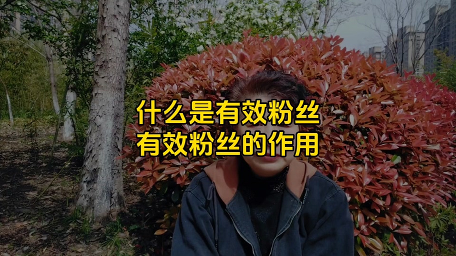 有效粉丝是什么意思图标