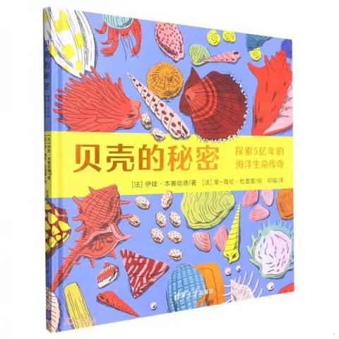 贝壳是怎么生长出来的