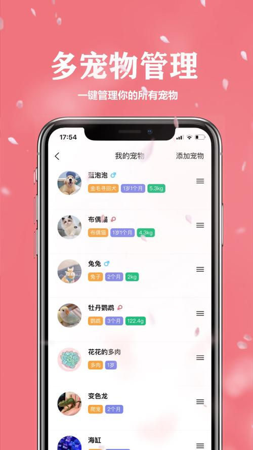 星伴app官网登录入口图标