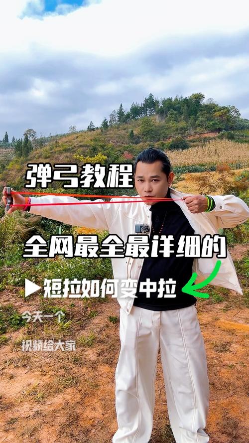 打鸟短拉还是中拉图标