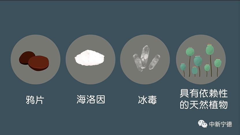 毒分为几类图标