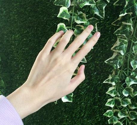 青柠微凉是什么意思图标