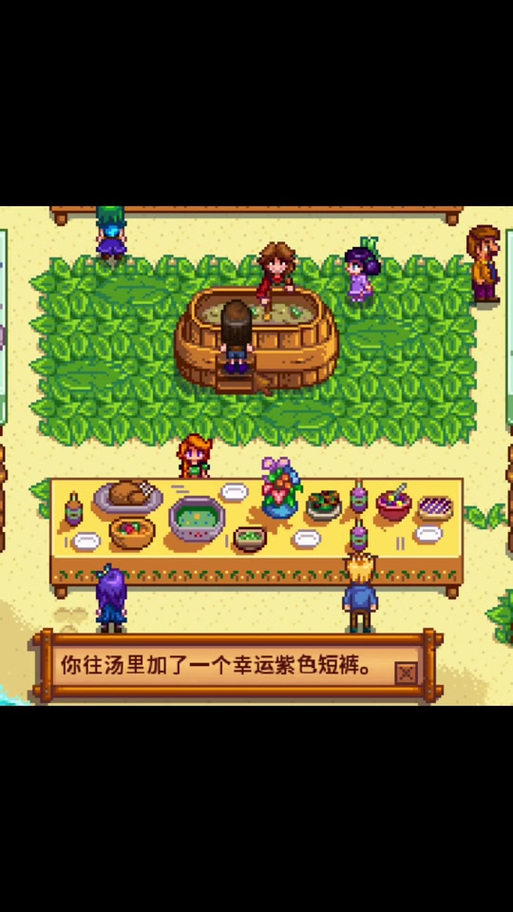 星露谷夏日宴会放什么