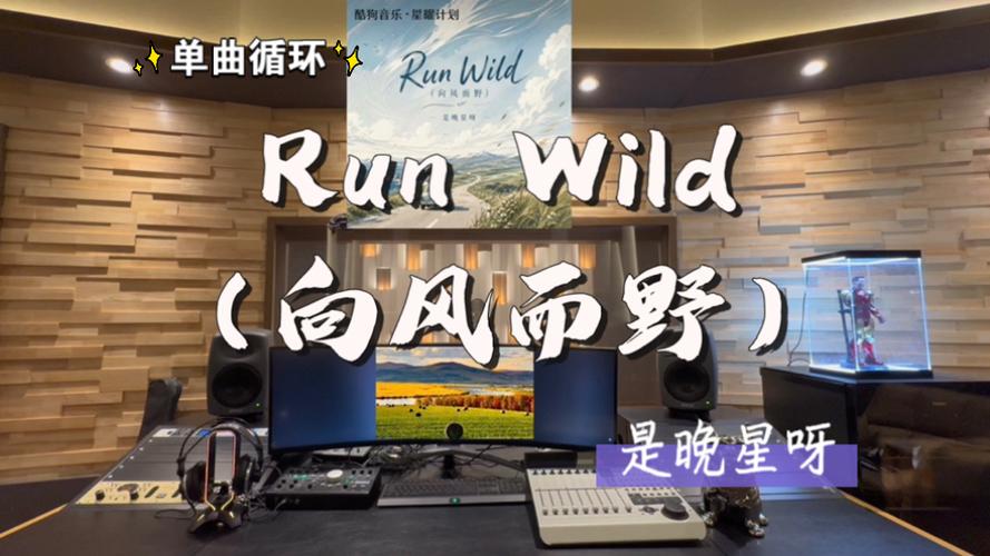 单曲循环的歌曲截图