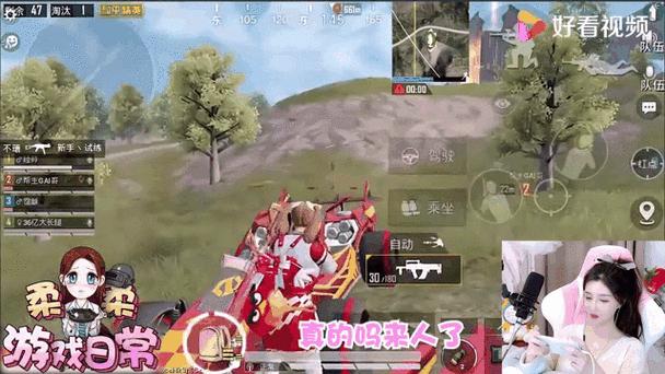 xl6666·ch和平精英图标