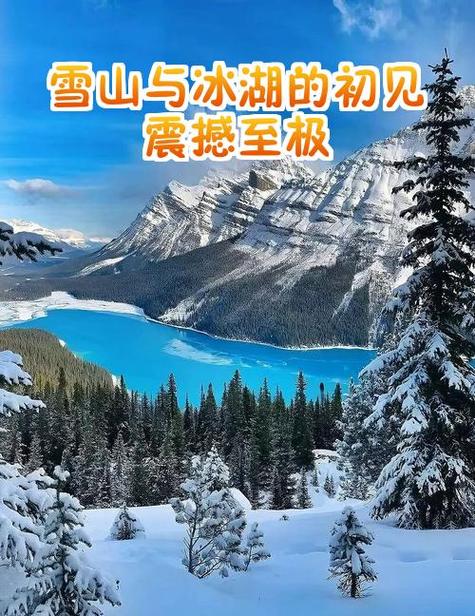 爱就如雪山上的雪和冰图标