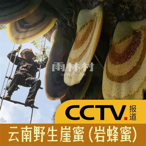央视315蜂蜜推荐名单图标
