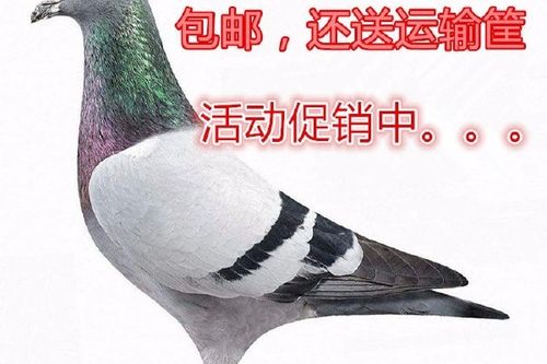 中通快递发货后可以改地址吗图标