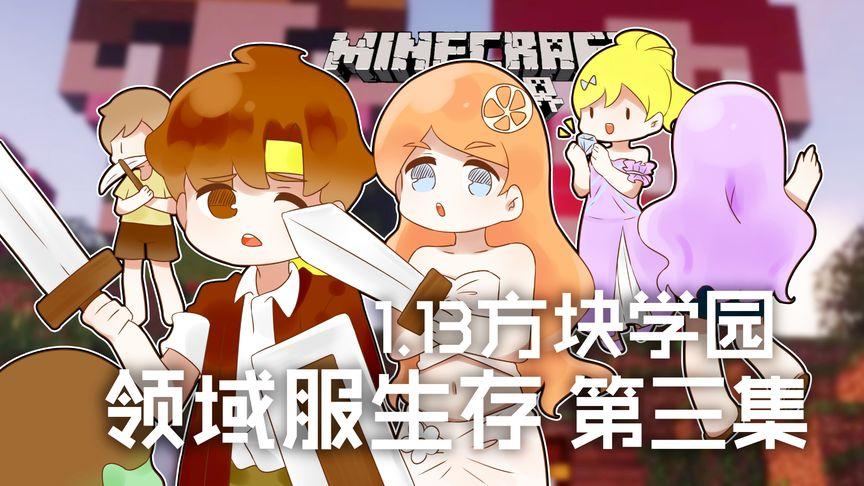 我的世界领域服图标