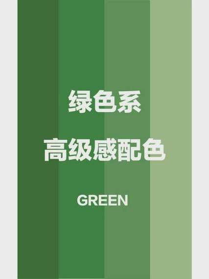 绿色版和安装版哪个好图标