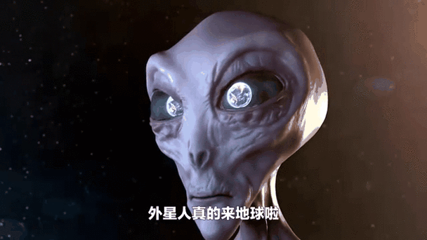 外星人连上网但不能用截图