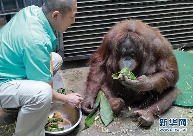 怎么在北京动物园当饲养员图标