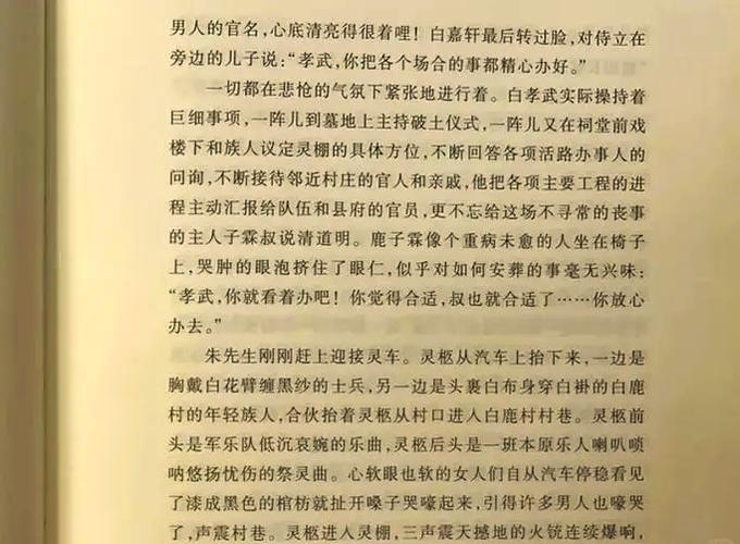 白鹿原电视剧未删减版全集图标
