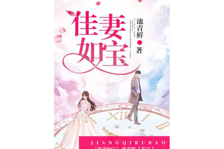 佳妻如宝免费阅读截图