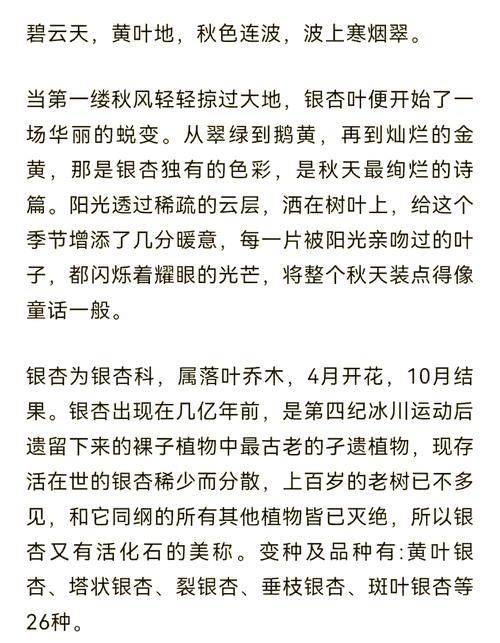 银杏文学图标