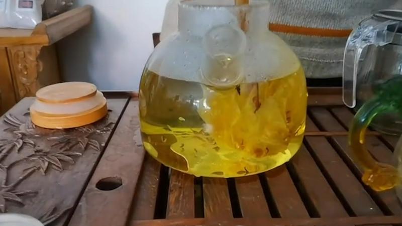 白莲花和绿茶的品种图标