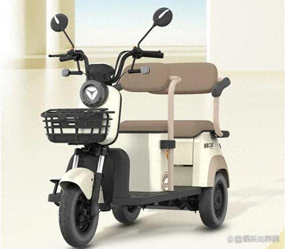 雅迪电动三轮3W60图标
