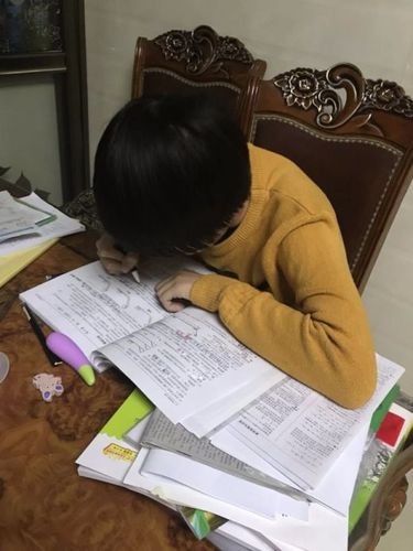 家教应聘简历模板图标