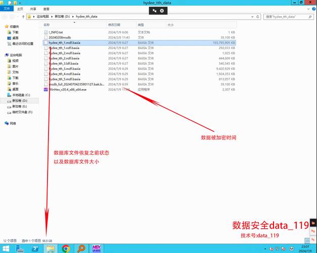 被pbb加密的文件
