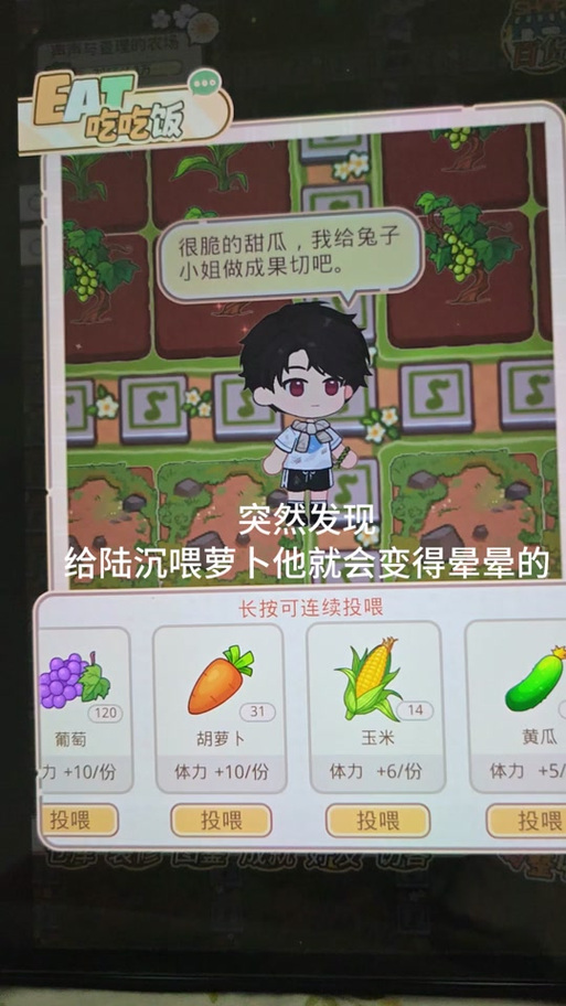 恋之农场怎么进不去图标