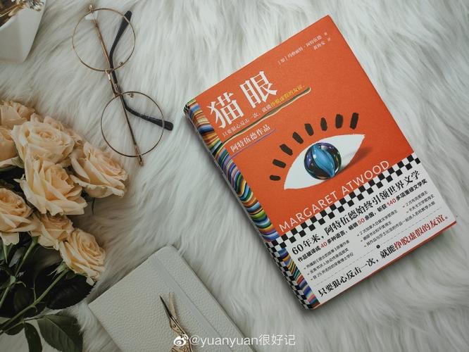 猫眼看书好用吗图标