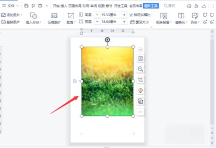 word打印背景图的方法