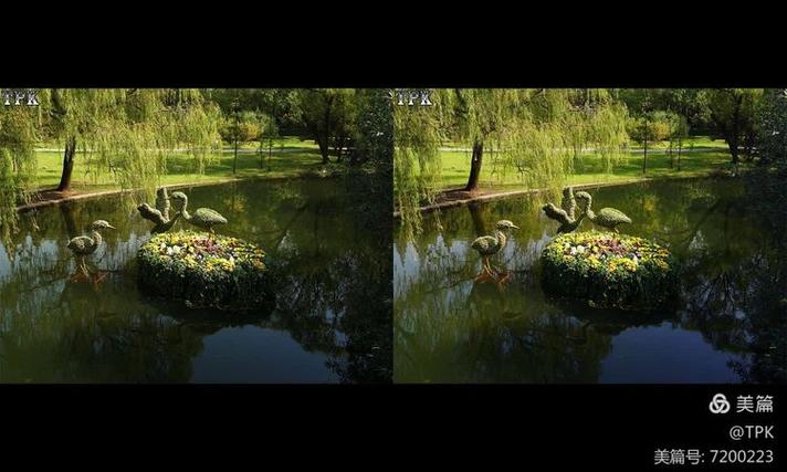 偏光3D和左右3D图标