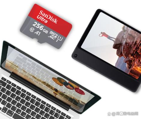 十大内存卡品牌排行榜图标