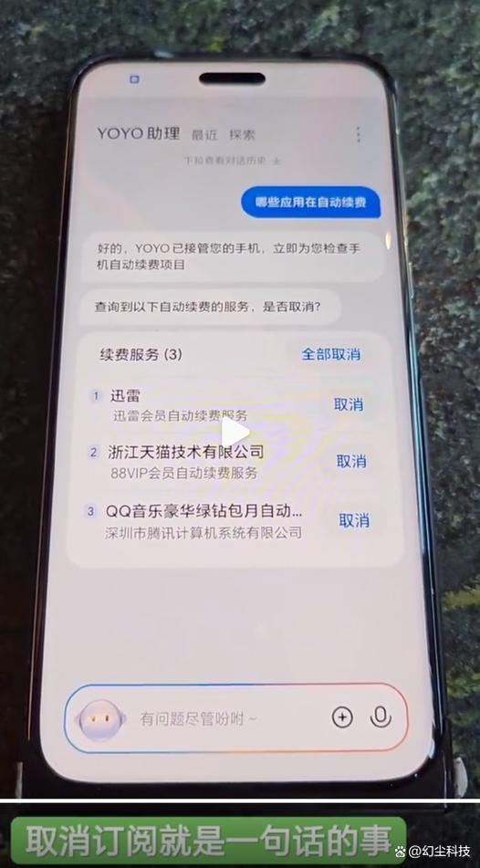 荣耀主题vip怎么取消自动续费图标