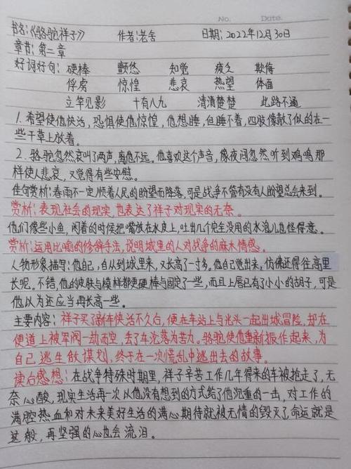 骆驼祥子摘抄好句图标