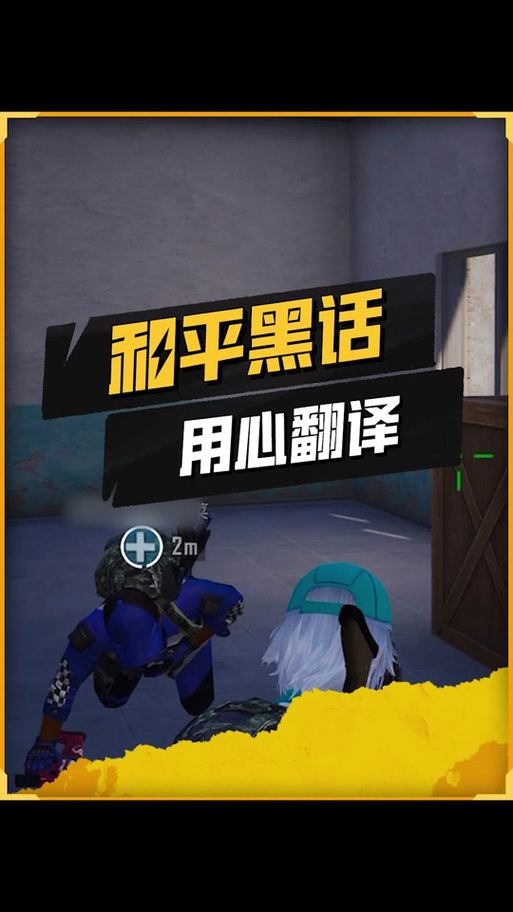 和平精英国际服设置翻译图标