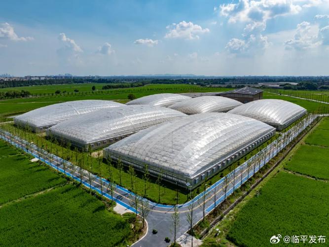 黑哥科技基地图标