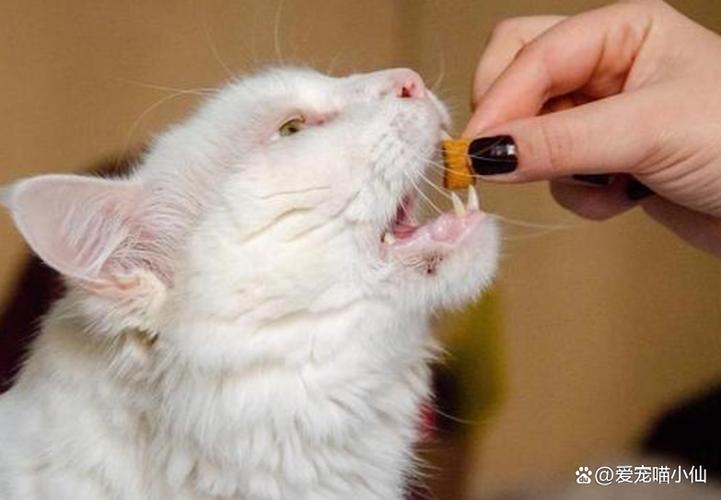 驱虫的重要性图标