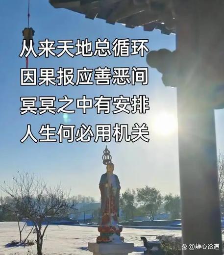 因果报应如影随形截图