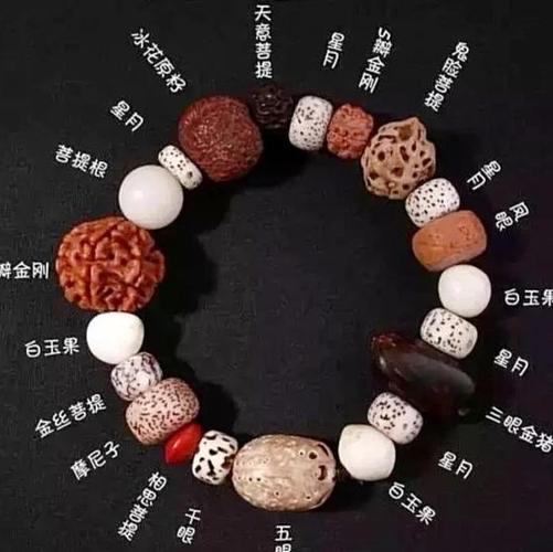 菩提的真正含义图标