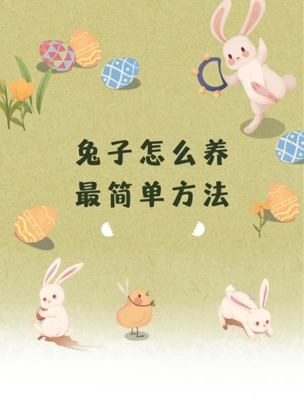 如何养好兔子图标