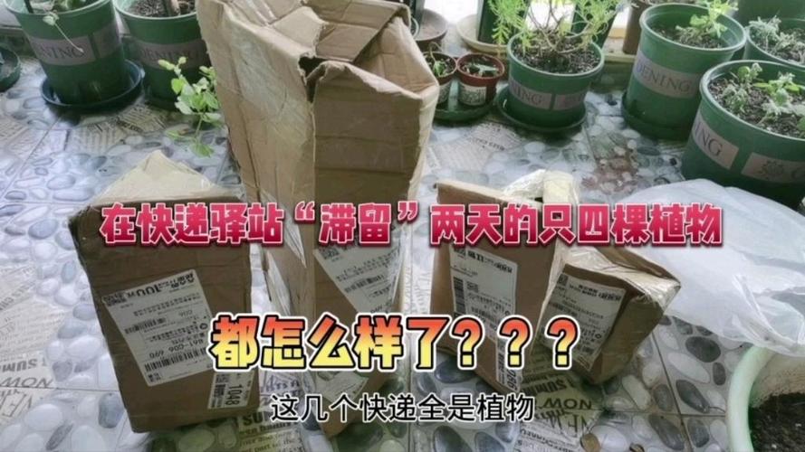 菜鸟驿站最多滞留多久图标