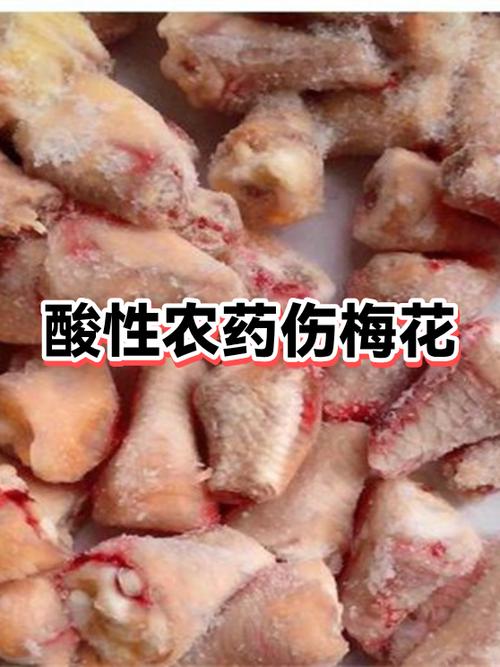 梅花对身体有伤害吗图标