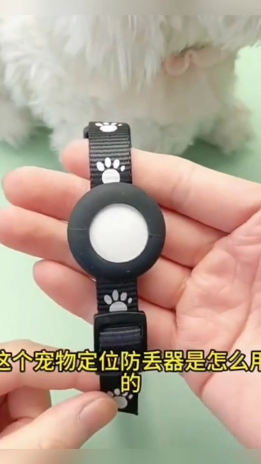 追踪犬定位器app官网图标