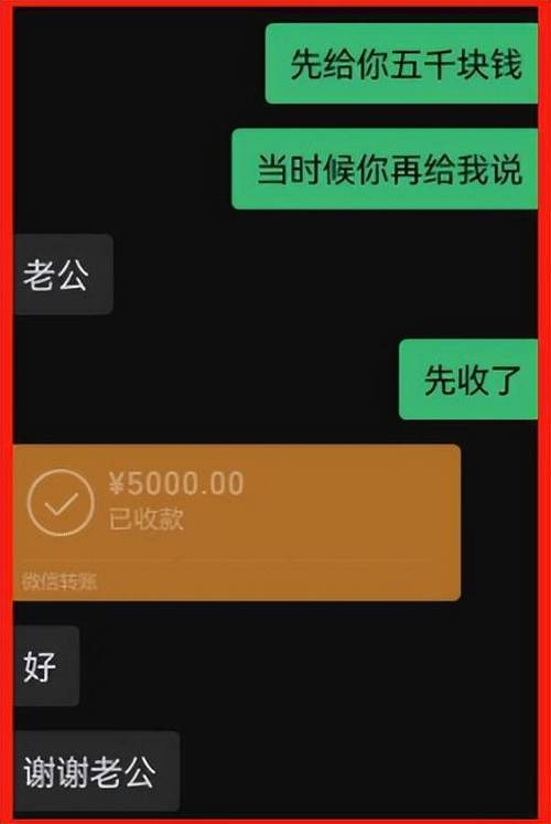 偷偷拿别人手机给自己转账截图