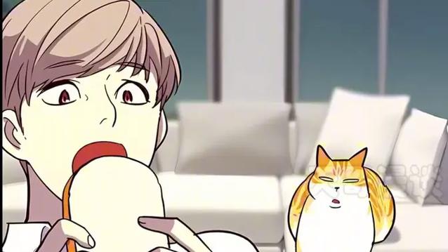 重生之我是一只猫截图
